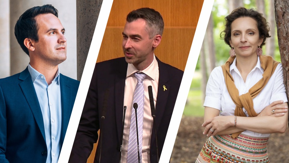 Wahl Österreich: Alle Infos & Wahltermine 2025 Wahl Österreich: Alle Infos & Wahltermine 2025